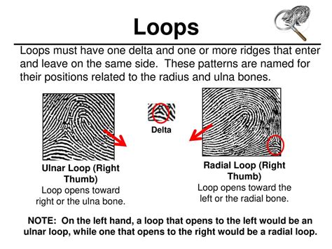 Finger Print Analysis Ppt Download