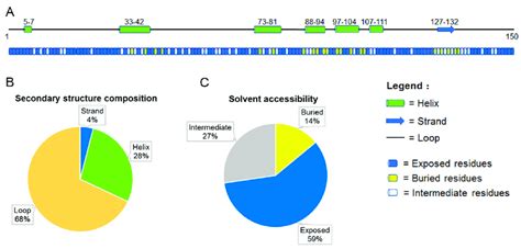 Secondary Structure And Solvent Accessibility Prediction For Mouse Download Scientific Diagram