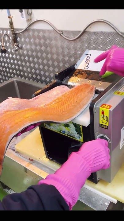 연어 생선 껍질 탈피기 🐠 테크인코리아 Youtube