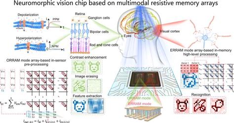 Gabriel Rubio On Linkedin Full Hardware Implementation Of Neuromorphic