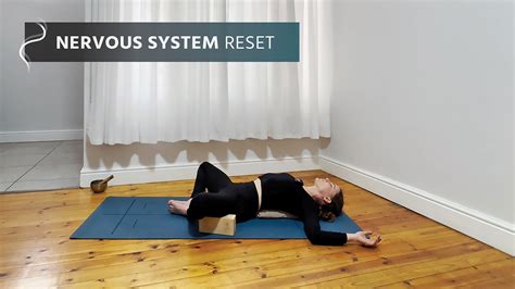 Nervous System Reset Class The Unbound Body
