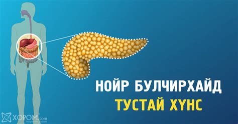 Нойр булчирхайн хамгийн дуртай 10 хүнс Ааштай энэ эрхтнийг ингэж л эрхлүүлнэ