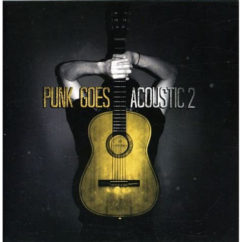 Punk Goes Acoustic Vol 2