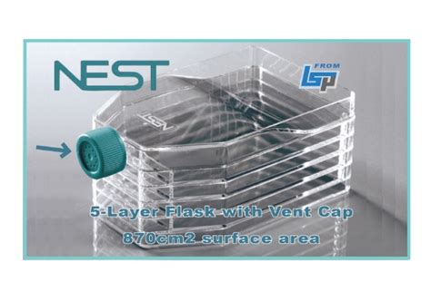 Nest Scientific 5 Layer Cell Culture Flasks Life Science Products