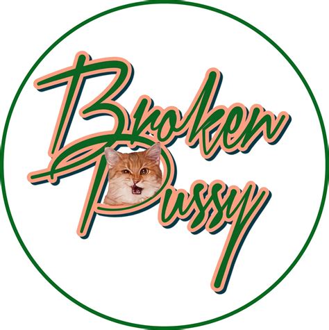 Insecure Broken Kitty Stickers Rinsecurehbo