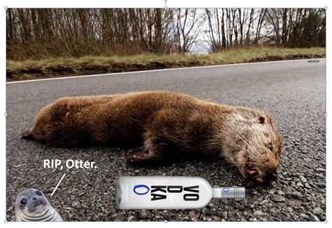 We Love You The Fappin Edition Risotteralive