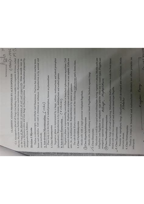 Solution Fungi Classifications Studypool