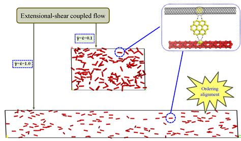 Polymers Free Full Text Orientation And Dispersion Evolution Of Carbon Nanotubes In Ultra