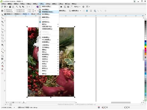 Cdr位图模式为啥是灰色的 为什么cdr的位图亮度调不了 Coreldraw中文网站