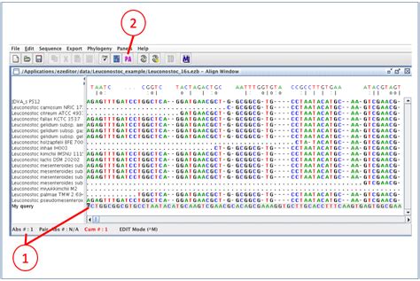Ezeditor2 Working With 16s Rrna Sequences Ezbiocloud Help Center