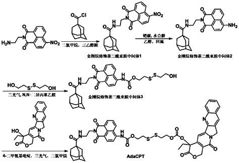 simulation responsive targeting polysaccharide supermolecular diagnosis
