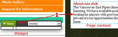 How Do I Add A Slide Show Widget To My Pages