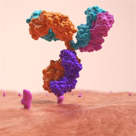 Medical Illustration Hire 2d 3d Medical And Scientific Illustrators