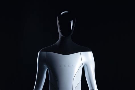 Tesla Bot Could Be An Incredible Buddy With Other Endless Possibilities