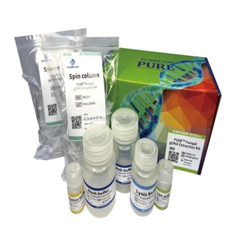 Pure Fungal Dna Extraction Kitid11818063 Buy Korea Fungi Fungus
