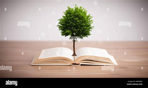 Tree Growing From An Open Book Stock Photo Alamy