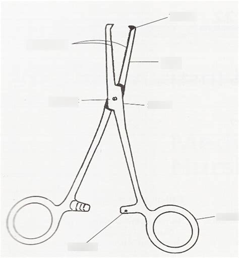 Surgical Instruments Diagram Quizlet