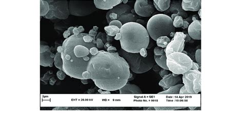 Scanning Electron Microscopy Sem Image Of The Selected Microcapsule Download Scientific Diagram