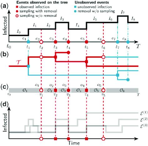 the true epidemiological trajectory can be inferred from the
