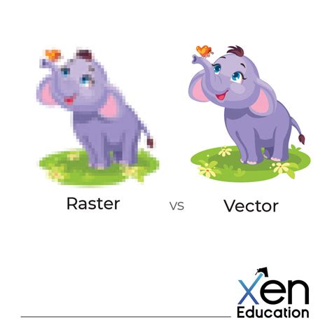 Xen Education On Linkedin Understand The Difference Between Raster And Vector To Create Perfect