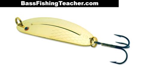 Bass Fishing Tackle Bass Fishing Teacher