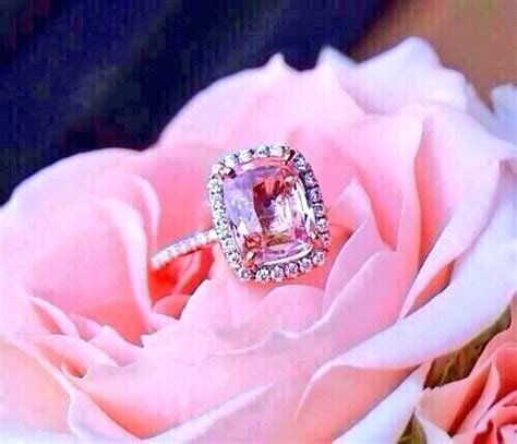 Diamondporn™ On Twitter 🌹roses Can Be Pink Too💘💗