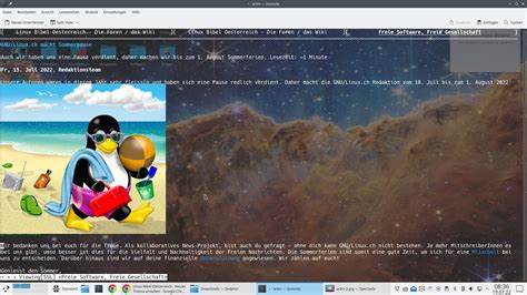 W m Webbrowser für das Terminal unter Linux Linux Bibel