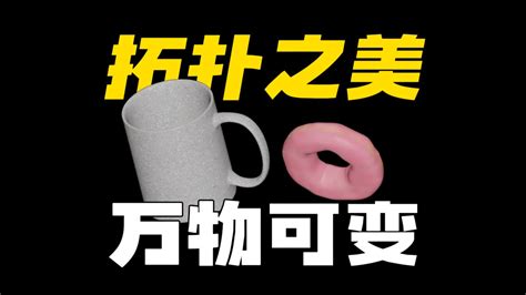 拓扑学：一根线，不断折叠，可以堆满整个宇宙吗？万物皆可拓扑！ 科学认识论 科学认识论 哔哩哔哩视频