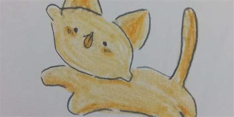 달콩이 집사예정 레몬이 리퀘 수박 숭배자의 첫번째 채널