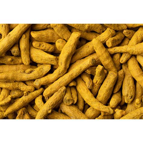 Raw Turmeric At Best Price In Sangamner Maharashtra Ram Industries