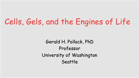 Cover Fsm 2025 Pdf 03 06 2025 04 56 Pm Frequency Specific Microcurrent Frequency Specific