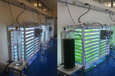 Microalgae Photobioreactor Efficient And Reliable Solutions