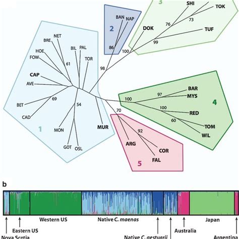 Factorial Correspondence Analysis Of Nuclear Microsatellite Data Download Scientific Diagram