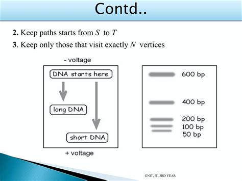 Dna Computing Ppt