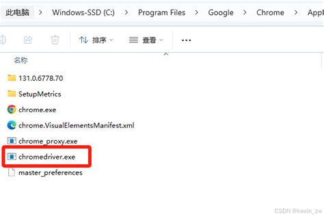 Python Selenium Chrome搭建seleniumpythonchrome搭建 Csdn博客