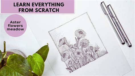 How To Draw A Flower Field Meadow Step By Step Instructions For Beginners Aster Flower