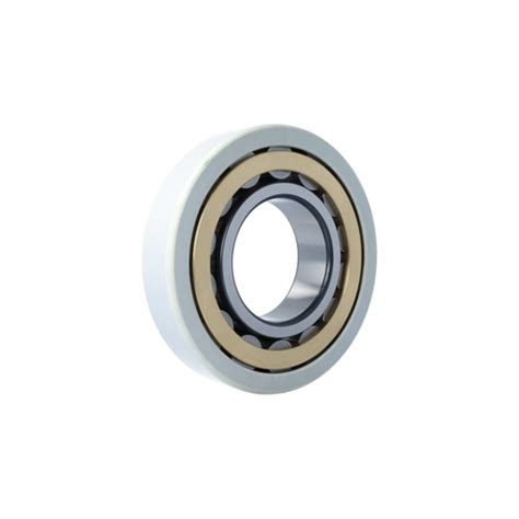 Nu322 E Xl M1 J20aa C3 Fagschaeffler Technologies 110 X 240 X 50 Mm