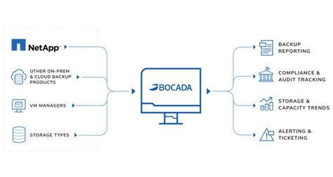 netapp backup reporting and monitoring software bocada