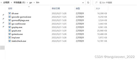 golang v1 19 1 安装配置 windows golang 1 19 csdn博客