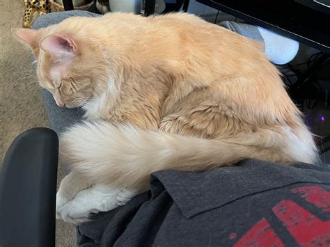 I Cant Feel My Toes Anymore But At Least Hes Comfortable R Aww