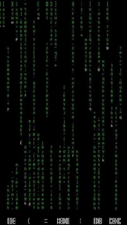 Hacking Sekhane Hai To Comment Karo Shorts Coding Hacker Python Youtube