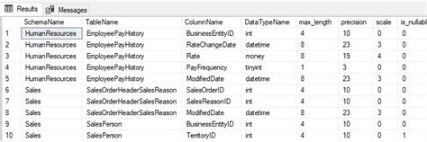 Building A Sql Server Data Dictionary Simple Talk