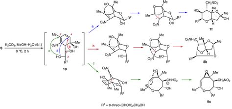Scheme Proposed Mechanism For The Formation Of Cyclic Ethers F B Download Scientific