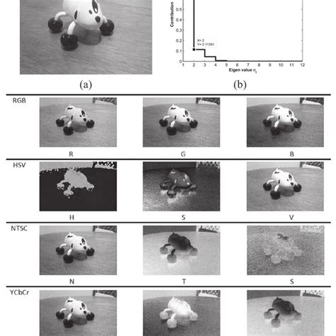 A Image In Color Used As Sample For Different Space Decompositions