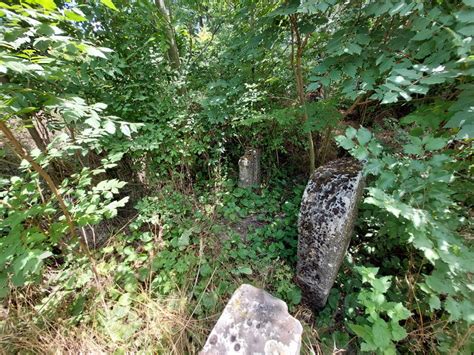 средновековна църква Св Никола село Софрониево Моята лична туристическа галерия на България