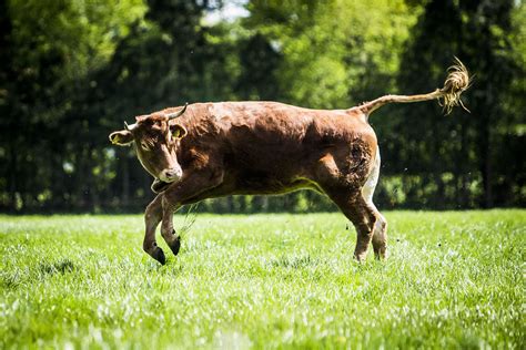 Github Zhongfanghe Bayesian Dynamic Correlation Mcmc Estimation Of