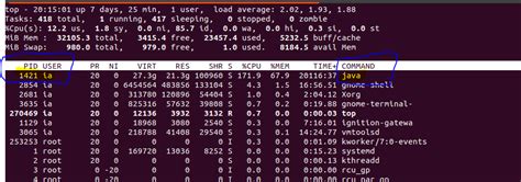 Return The PID Used For The Ignition Service In Linux Install Ignition Inductive Automation