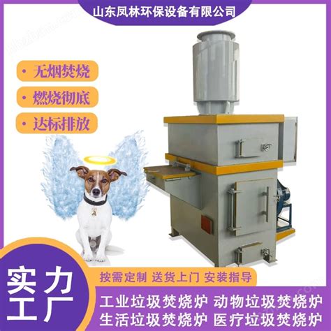 学校垃圾热解气化焚烧设备 环保在线