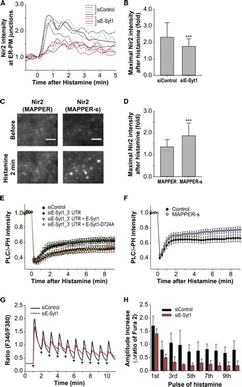 Enhancement Of Er To Pm Connection By E Syt1 Facilitates Nir2