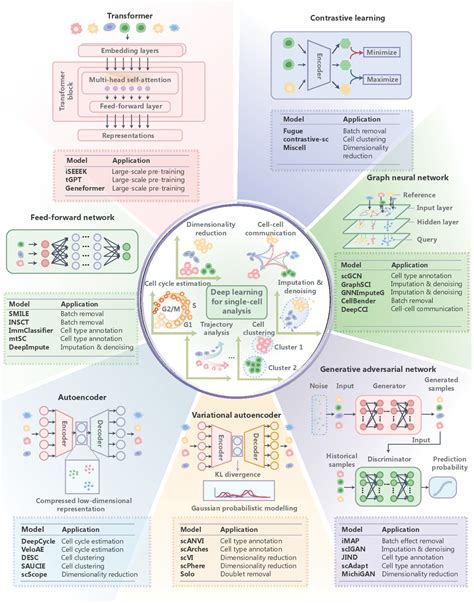 Figure 1 From Deep Learning Methods For Unveiling Large Scale Single Cell Transcriptomes